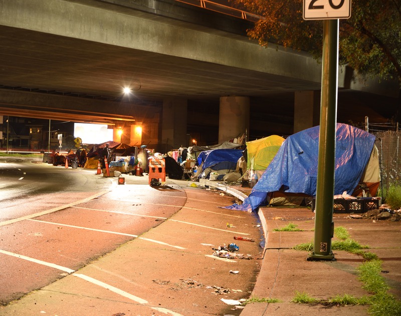 Policy Brief: The Role of Sanitation and Waste Management in Local ...