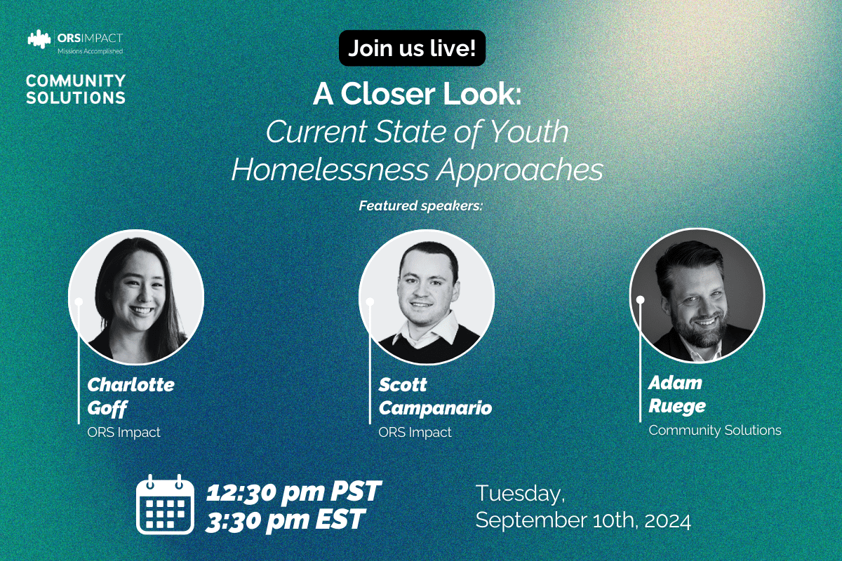 A Closer Look: Current State of Youth Homelessness Approaches ...